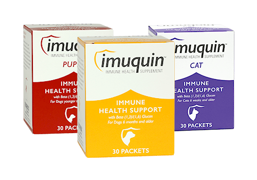 Brands and Products for Your Dog, Cat or Horse | Nutramax Laboratories ...